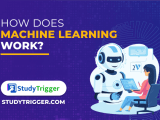 How Does Machine Learning Work Study Trigger